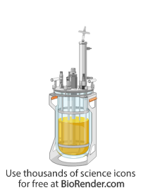 BioRender | Bioreactor (Sartorius BioStat)