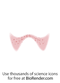 BioRender | Life Science Icons