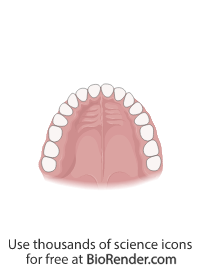 PowerPoint Presentation