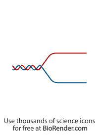 BioRender | Life Science Icons