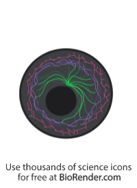 BioRender | Life Science Icons