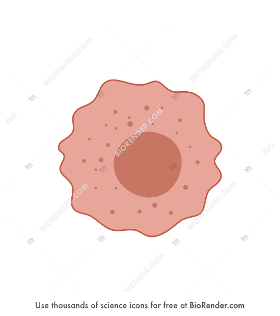 BioRender | Cancer cell