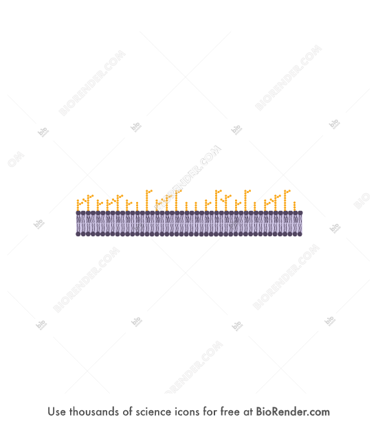 BioRender | Life Science Icons