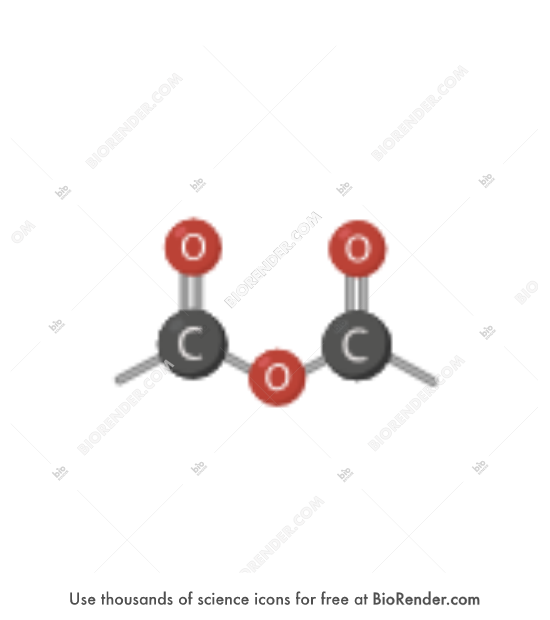 BioRender | Life Science Icons