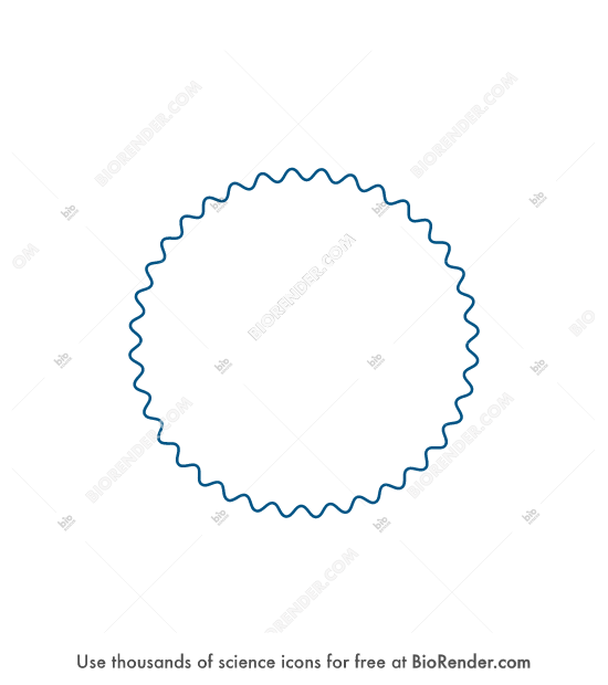 Biorender Dna Circular Single Stranded Large