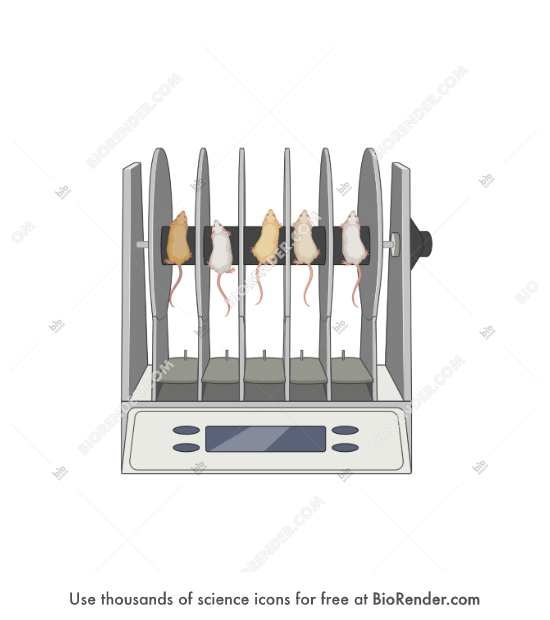 BioRender | Rotarod (with mice)