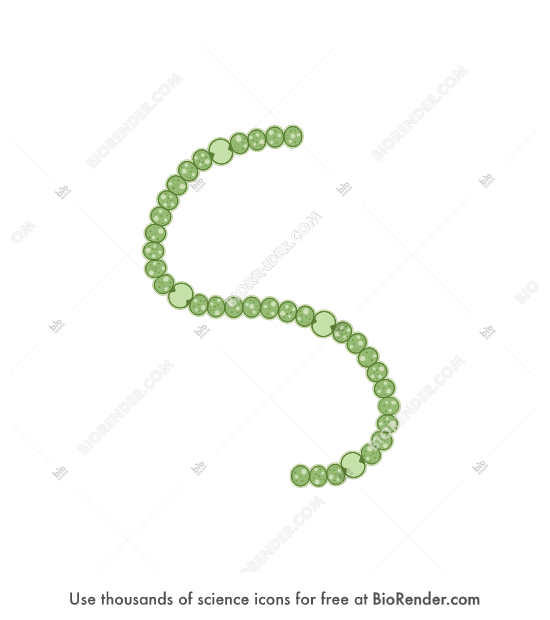 BioRender | Life Science Icons