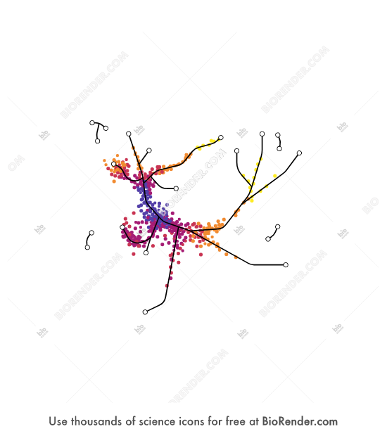 BioRender | Life Science Icons