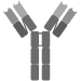 Free Antibody IgE (with domains) Icons, Symbols & Images | BioRender