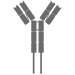 Free Antibody IgE (membrane-bound) Icons, Symbols & Images | BioRender