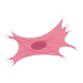 Free Myofibroblast Icons, Symbols & Images | BioRender