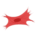 Free Myofibroblast Icons, Symbols & Images | BioRender