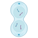 Free Meiosis (12. Telophase II, A) Icons, Symbols & Images | BioRender