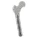 Free Bone marrow (femur, red) Icons, Symbols & Images | BioRender