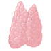 Free Thymus Icons, Symbols & Images | BioRender