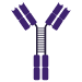 Free Antibody IgG3 Icons, Symbols & Images | BioRender