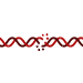 Free DNA (double-stranded break) Icons, Symbols & Images | BioRender