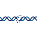 Free DNA (double-stranded break) Icons, Symbols & Images | BioRender
