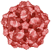 Free Porcine parvovirus (PPV) Icons, Symbols & Images | BioRender