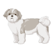 Free Dog (Shih Tzu) Icons, Symbols & Images | BioRender