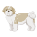 Free Dog (Shih Tzu) Icons, Symbols & Images | BioRender