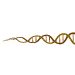 Free DNA (tapered) Icons, Symbols & Images | BioRender