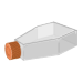 Free Cell culture flask (T75, empty) Icons, Symbols & Images | BioRender