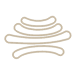 Free Golgi apparatus membrane Icons, Symbols & Images | BioRender