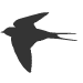 Free Barn Swallow Icons, Symbols & Images | BioRender