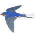 Free Barn Swallow Icons, Symbols & Images | BioRender