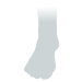 Free Foot Icons, Symbols & Images | BioRender