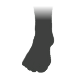 Free Foot Icons, Symbols & Images | BioRender