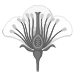 Free Almond Flower (cross section) Icons, Symbols & Images | BioRender