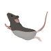 Free Mouse (swimming) Icons, Symbols & Images | BioRender