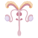 Free Mouse (male reproductive tract, anterior) Icons, Symbols & Images ...