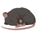 Free Mouse (sleeping) Icons, Symbols & Images | BioRender