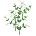 Free Pea plant Icons, Symbols & Images | BioRender