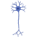 Free Multipolar neuron (motor, degenerating, distal only) Icons ...