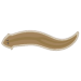 Free Planarian Icons, Symbols & Images | BioRender