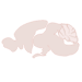 Free Mouse brain (sagittal, midline) Icons, Symbols & Images | BioRender